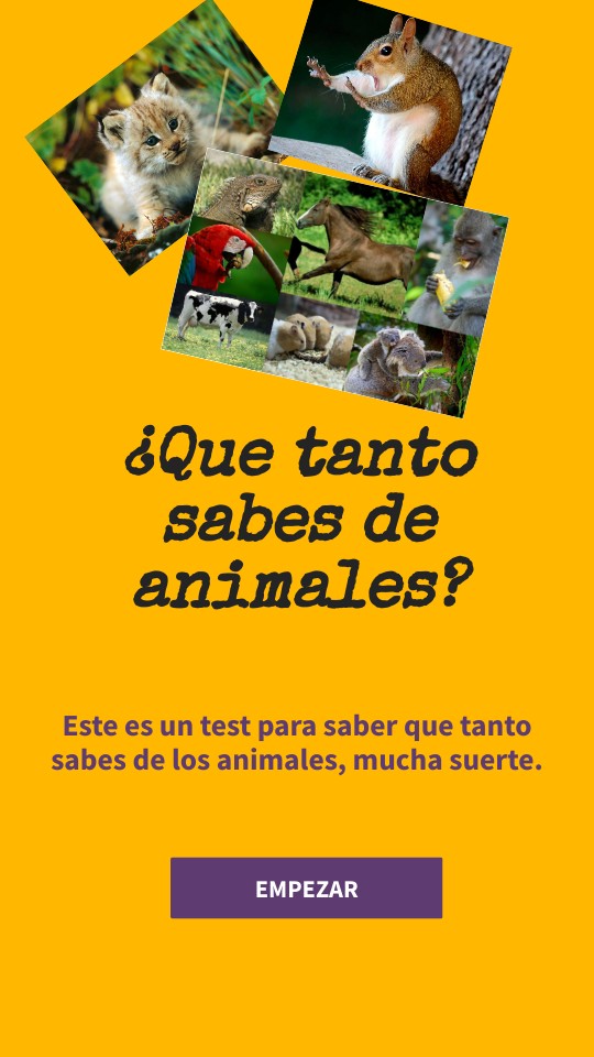 Cuestionario de animales | Genially