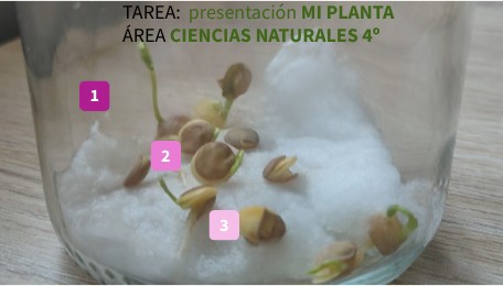 "Susana_Zapico_M2_Act_1". | Genially