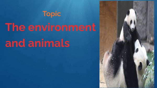 The environment | Genially