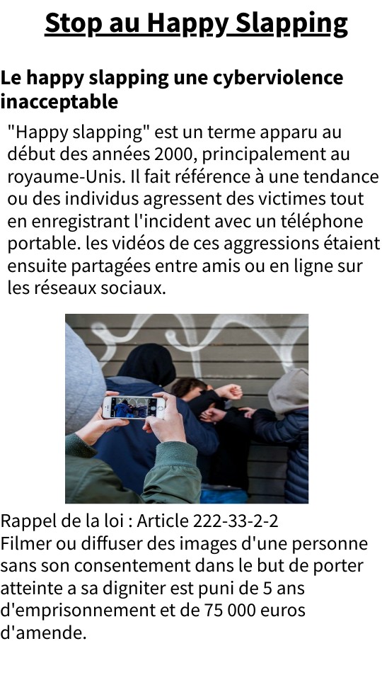 Lohann SNT Cyberviolence :Happy Slapping