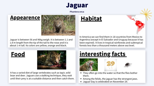 Jaguar