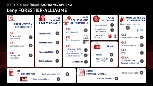 Portfolio - Bac pro MCV