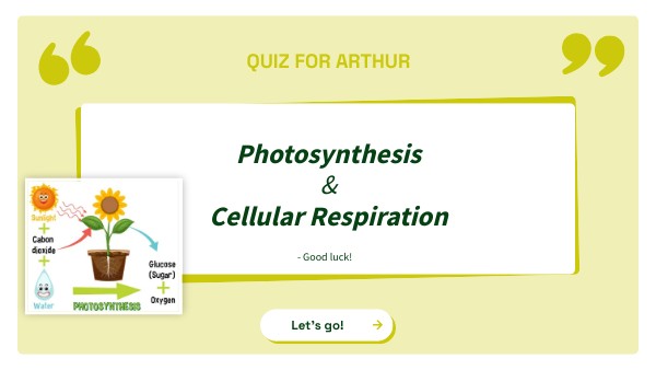 Science - Photosynthesis - Flashcards