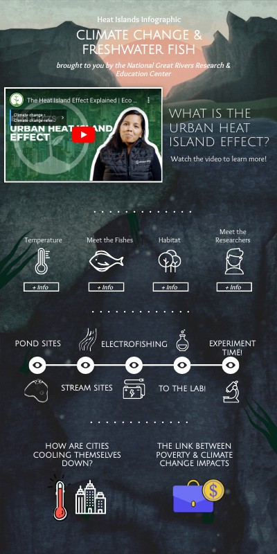 Water Infographic | Genially