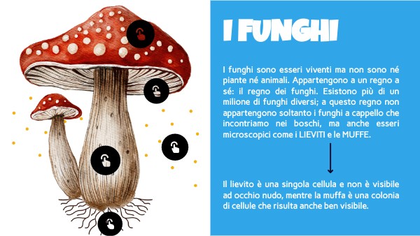 I FUNGHI | Genially
