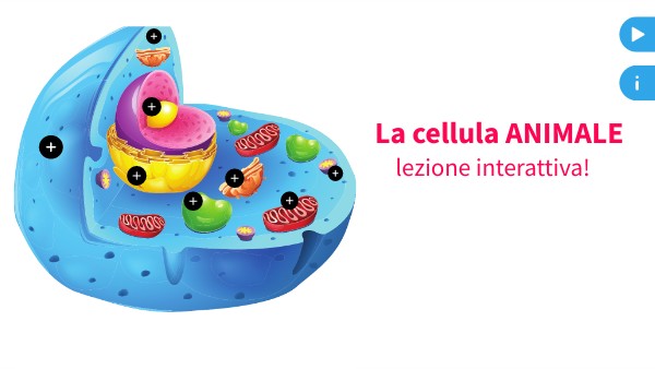 IMPARIAMO LA CELLULA ANIMALE in maniera interattiva! | Genially