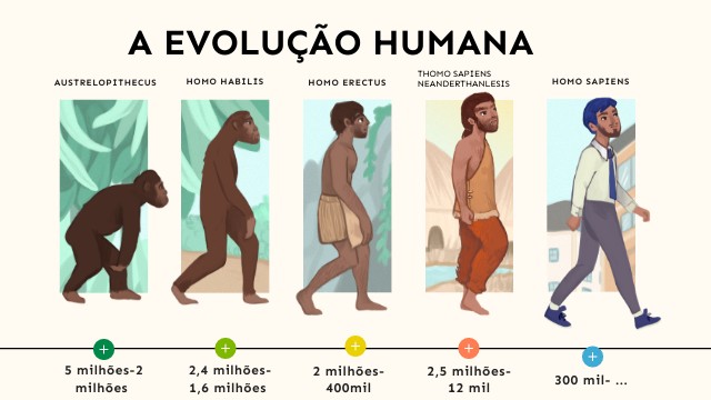 STAGES OF HUMAN EVOLUTION