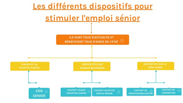 dispositifs emploi sénior