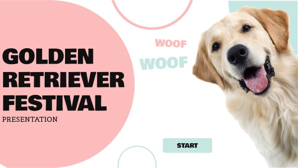 The Golden Retriever Festival