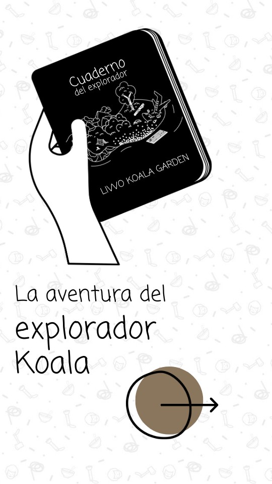 La aventura del señor Koala | Genially