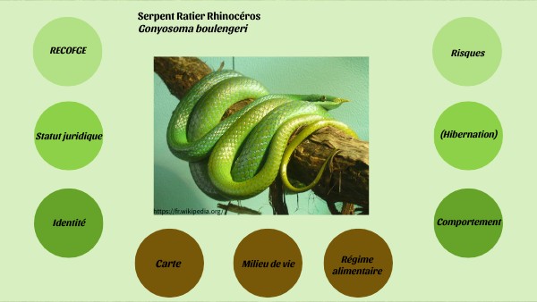 Présentation essentielle