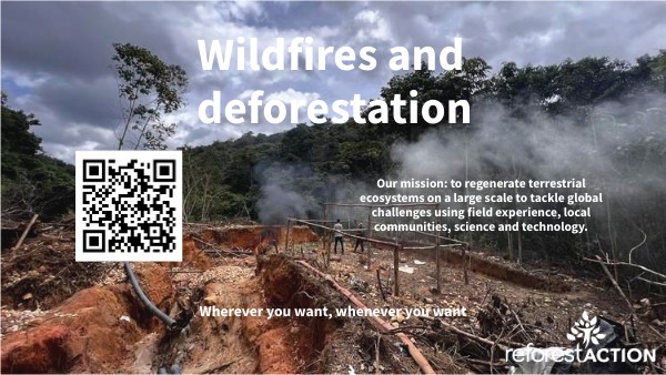Wildfires and deforestation Reforest action