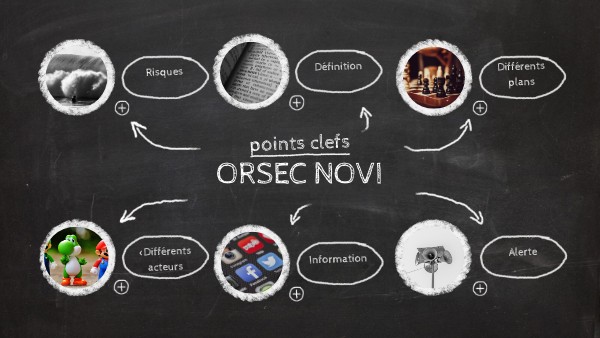 synthèse orsec novi