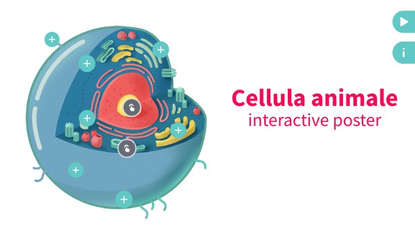 cellula animale | Genially