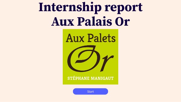 Internship report | Genially