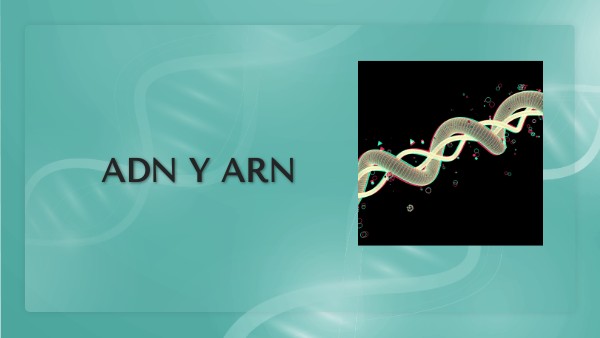 Presentacion de ADN Y ARN | Genially
