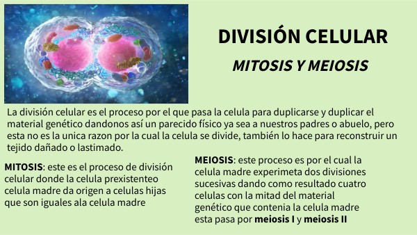 DIVISIÓN CELULAR | Genially