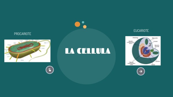 LA CELLULA | Genially