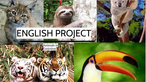 Animals in Extinction | Genially