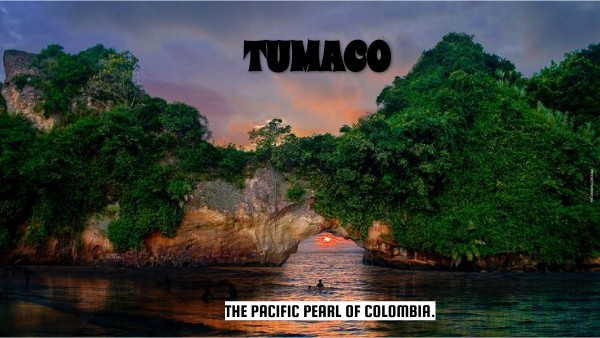INFROGRAPHY TUMAC | Genially