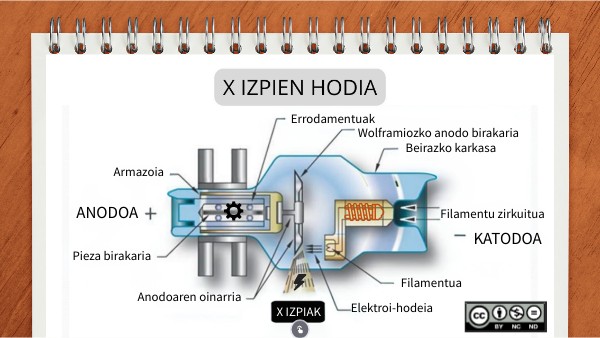 X izpien hodia