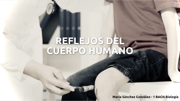 REFLEJOS DEL CUERPO HUMANO | Genially
