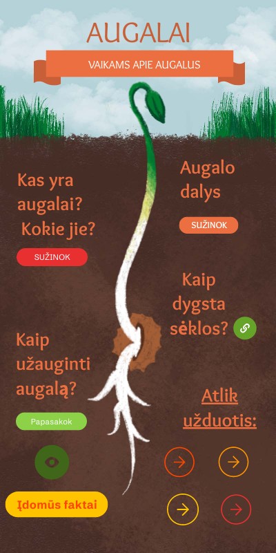 Seed List | Genially