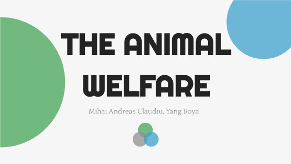 ppt animal welfare | Genially