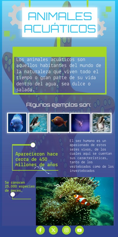 Animales acuaticos | Genially