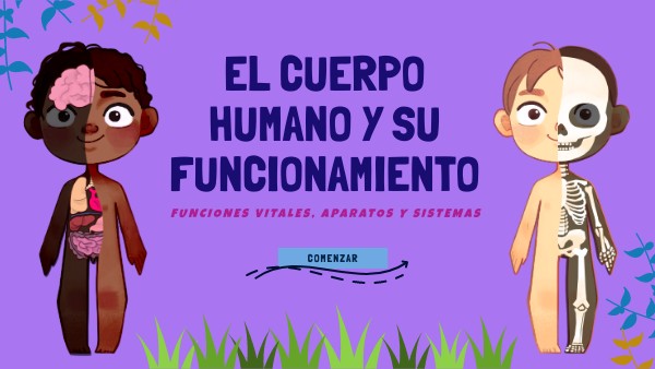 EL CUERPO HUMANO