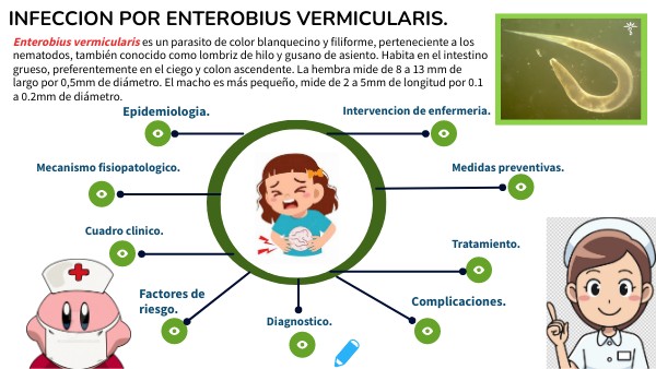 INFOGRAFIA ENTEROBIUS VERMICULARIS | Genially