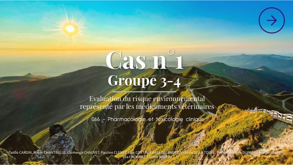 Cas n°1 - Grp 3-4 | Genially