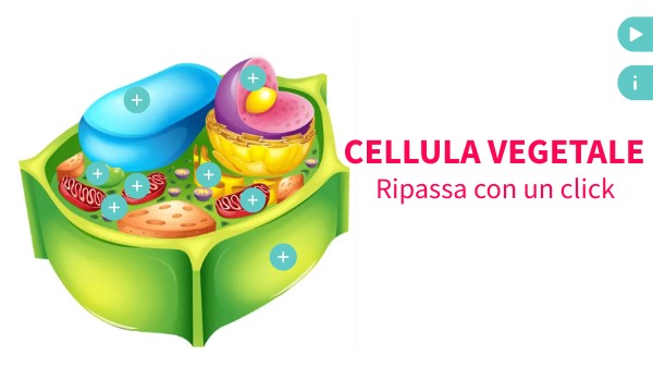 CELLULA VEGETALE | Genially