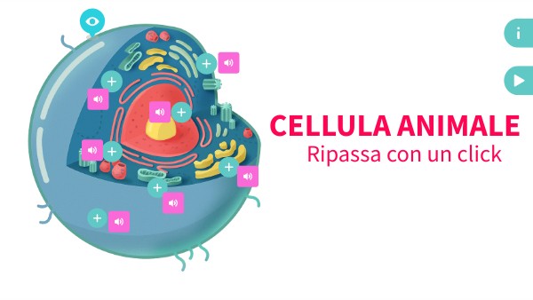 LA CELLULA ANIMALE | Genially