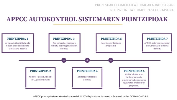 2.B Sakontze edukia. Maitane Lazkano