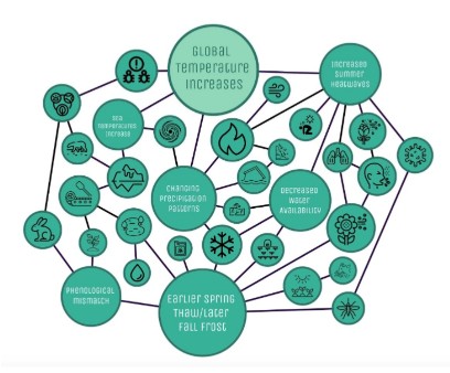 Downstream Effects of Rising Temperatures | Genially