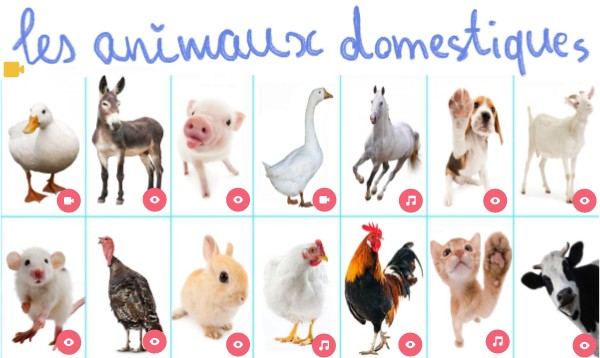 les animaux domestiques
