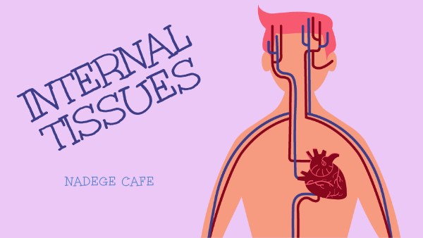 Internal tissues | Genially