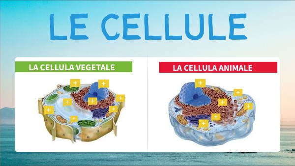 LE CELLULE | Genially