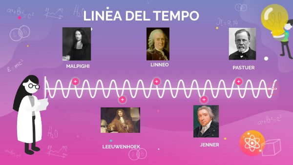 PHYSICAL VIBRANT TIMELINE