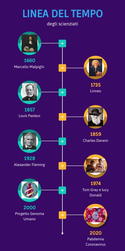 Animated Timeline | Genially