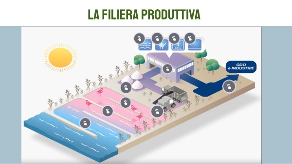 La filiera produttiva del sale