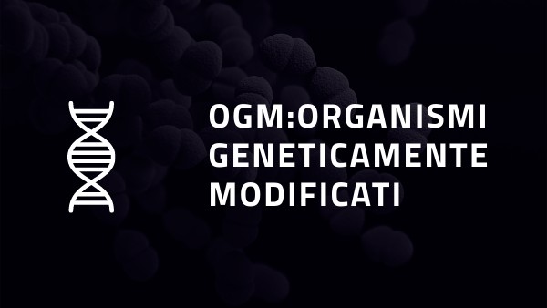 presentazione ogm