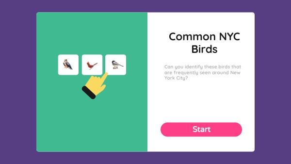 Cognitive Stimulation Game