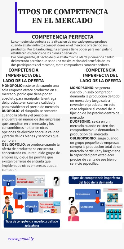 Infografía Tipos de Competencia | Genially