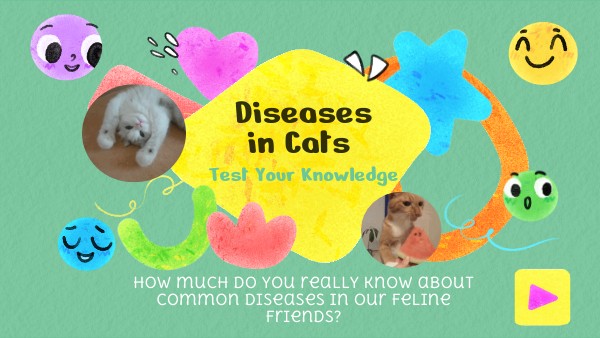 Diseases in Cats | Genially
