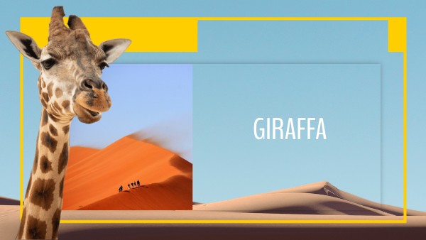 ANIMALS PRESENTATION | Genially