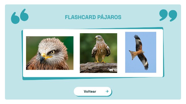 Flashcard microlearning | Genially