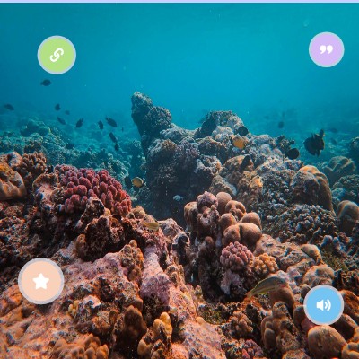 Essential Square Interactive Image | Genially