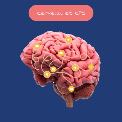 Cerveau et CPS | Genially